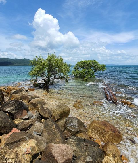 Portland Roads - Cape York Coastal Community - A Historical Site