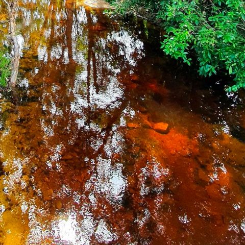 Portland Roads - Cape York Coastal Community - A Historical Site
